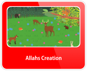 Allahs Creation – The Muslim Kids Show